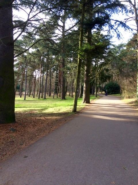 On a testé : le Parc de Parilly